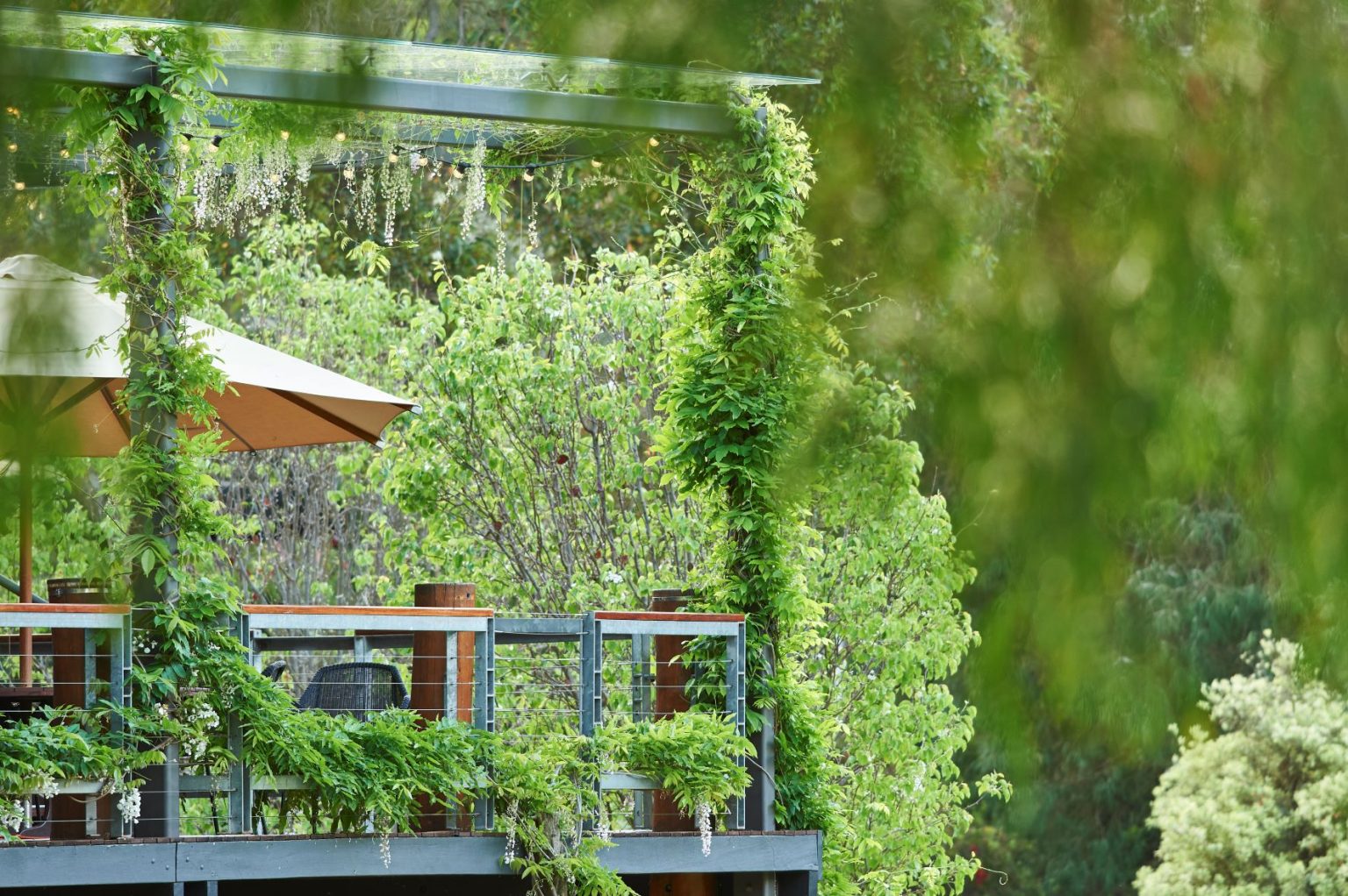 What's On - Leeuwin Estate